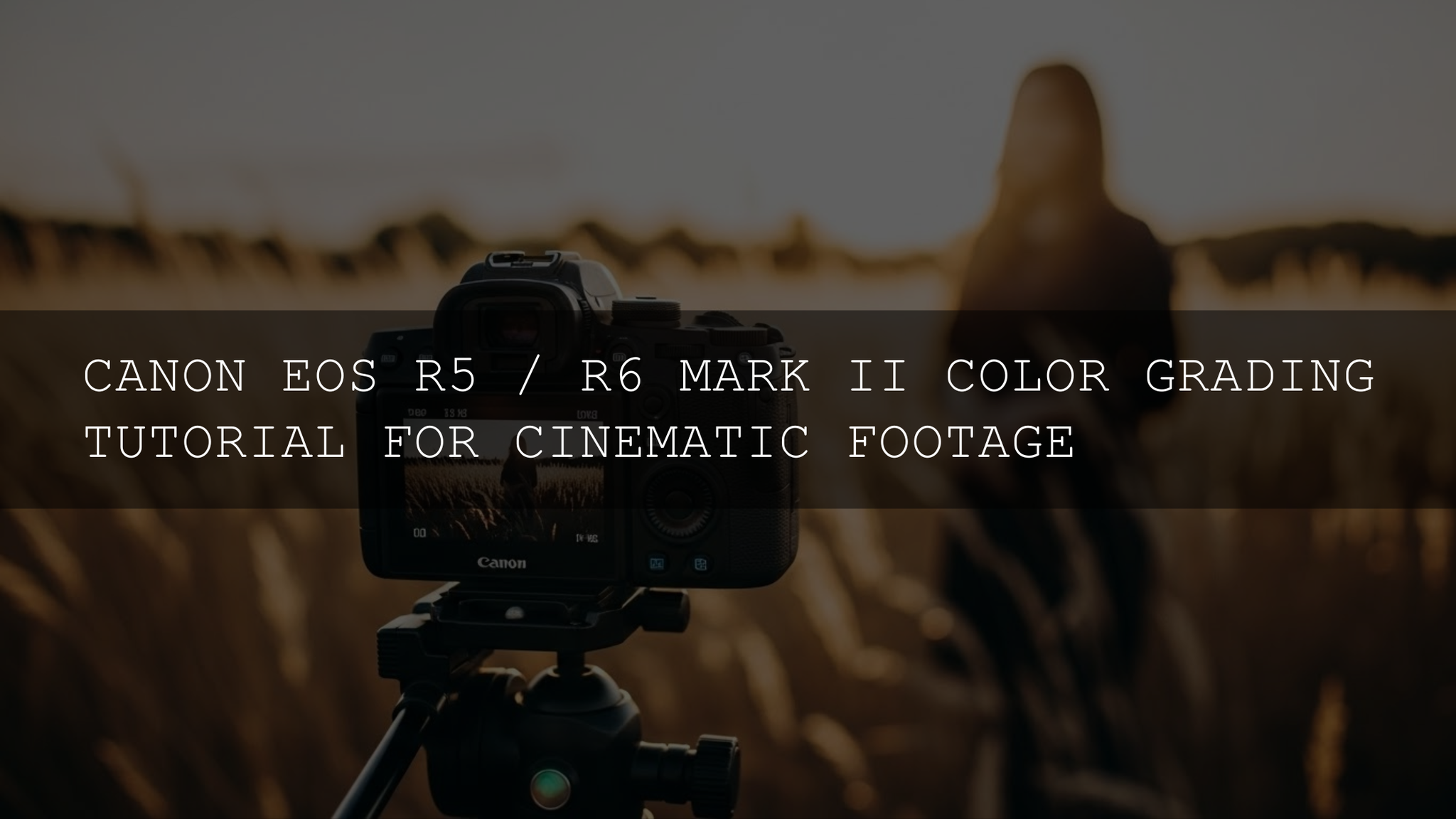 Deep Dive into Cinematic Color Grading with Canon R5 & R6 Mark II