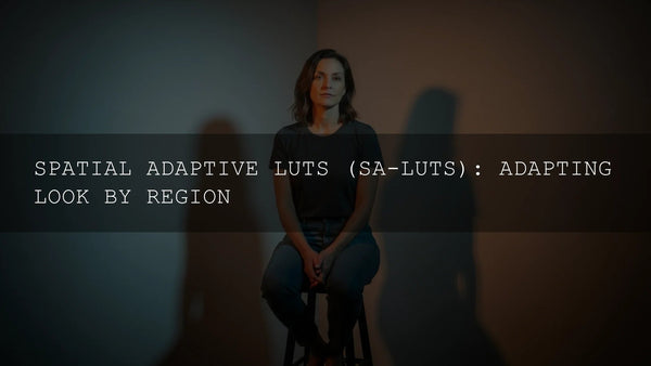 Spatial Adaptive LUTs (SA-LUTs): A Deep Dive into Region-Specific Color ...